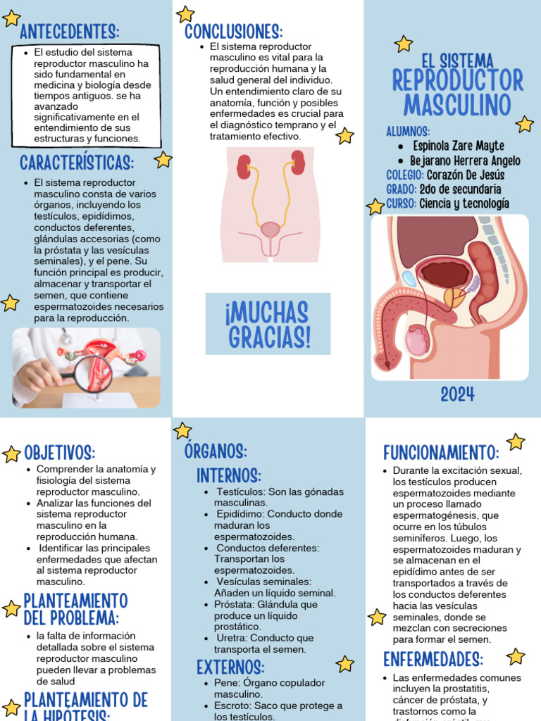 TRIPTICOS CYT | Descargar gratis PDF | Sistema reproductivo | Semen