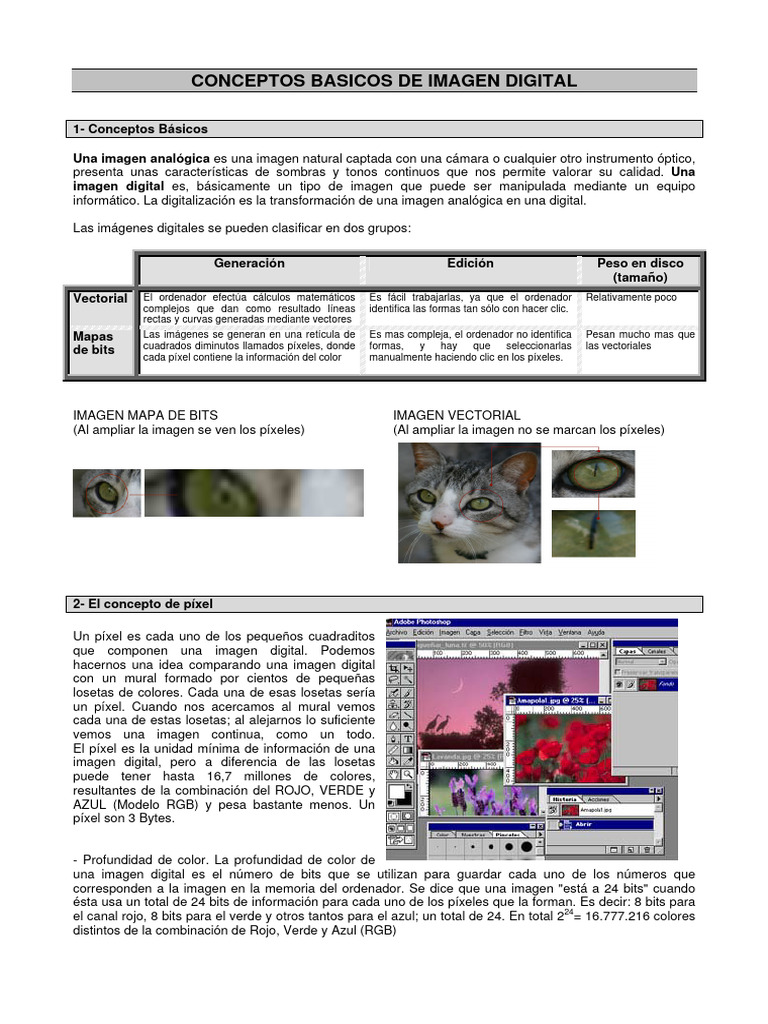 Conceptos Basicos de Imagen Digital | PDF | Píxel | Resolución de imagen