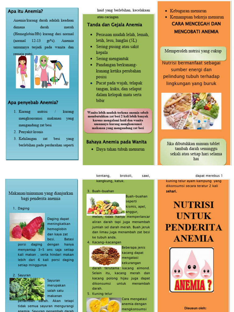 Leaflet Anemia | PDF
