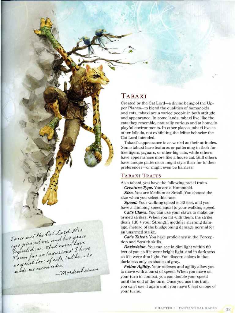 D&D 5e Folder about Tabaxi from Monsters of the Multiverse and Volo's ...