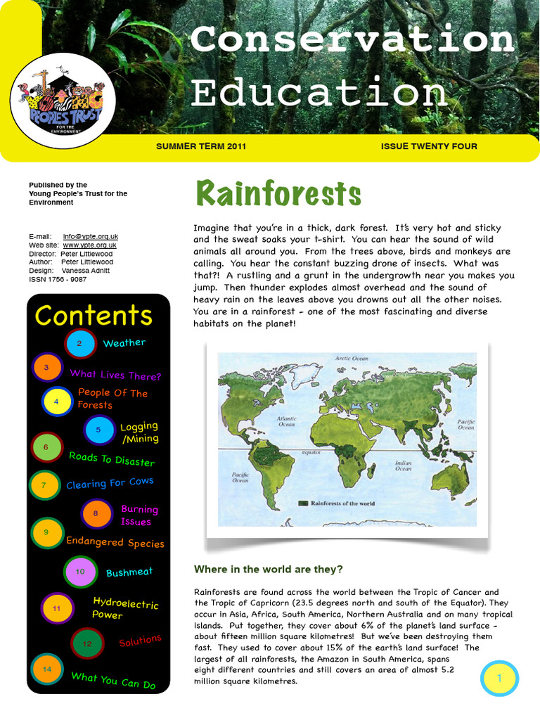 Rainforests - Conservation Education - YPTE - Original | PDF