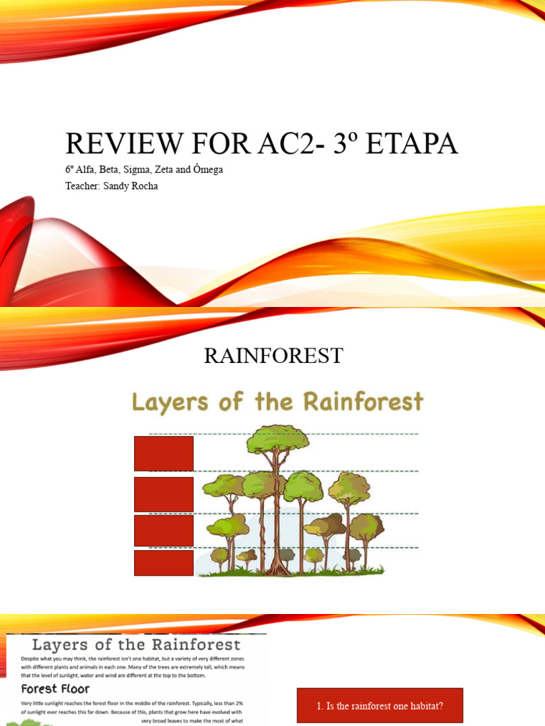 6ANO Review For Ac2 - 3º Etapa | PDF