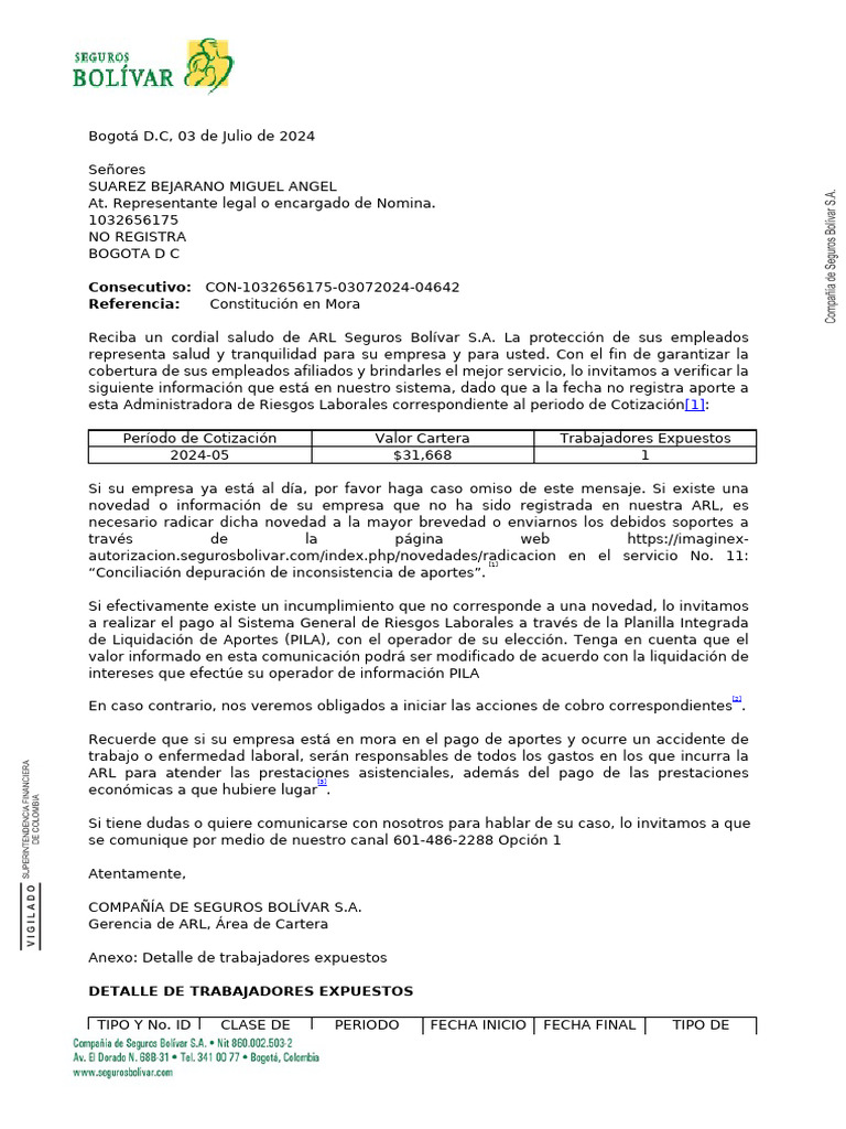 Constitucion Mora1 1032656175 | PDF | Business