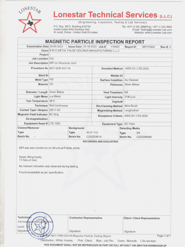 6.2 MPI Report - NR175494 | PDF