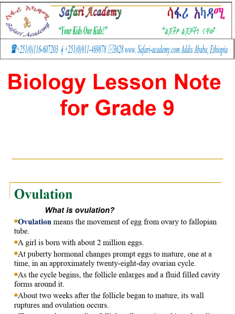 Biology Lesson Note For Grade 9 | PDF | Menstrual Cycle | Multiple Births