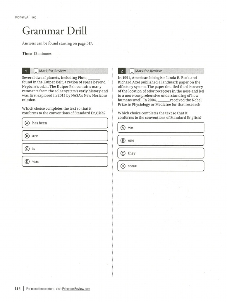 Princeton SAT - Grammar Drill - Tenses-Pronouns-apostrophes | PDF