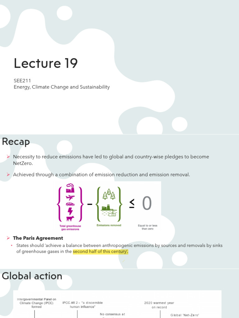 L 19 NetZero Policies | PDF | Climate Change | Climate Change Mitigation