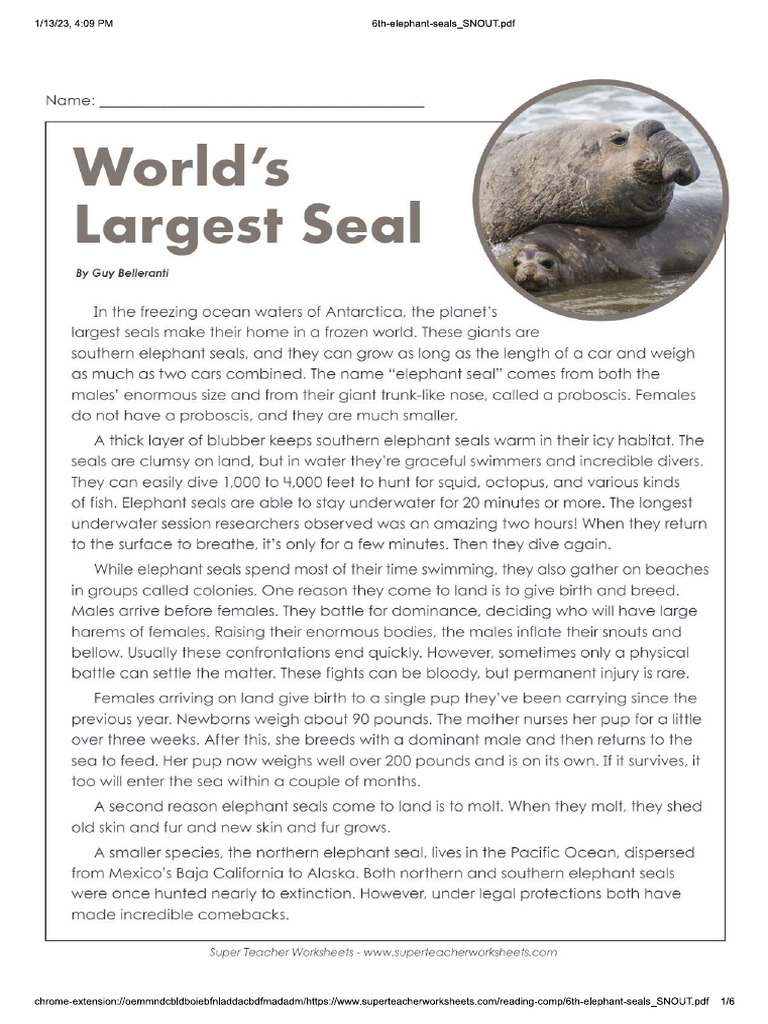 Elephant Seals Reading Compre | PDF