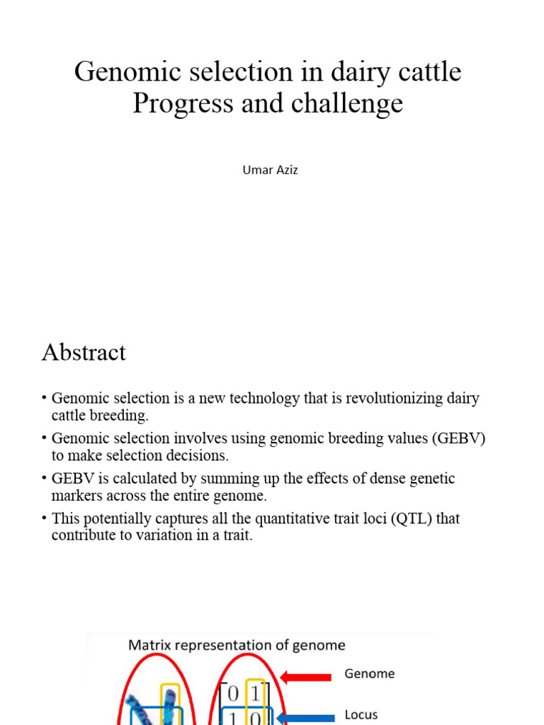 9 - Genomic Selection in Dairy Cattle | PDF | Natural Selection | Genomics