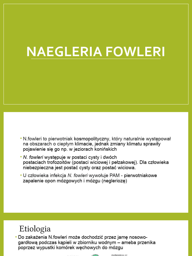 Naegleria Fowleri | PDF