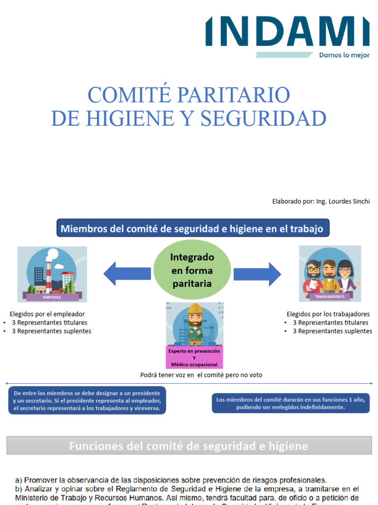 Comité Paritario de Seguridad y Salud | PDF