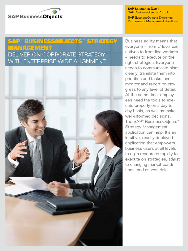 SAP StrategyManagement | PDF | Performance Indicator | Strategic Management