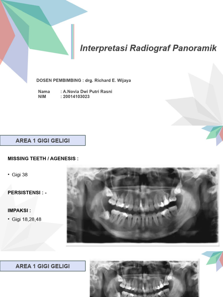 Interpretasi Panoramik | PDF | Seni | Sains & Matematika