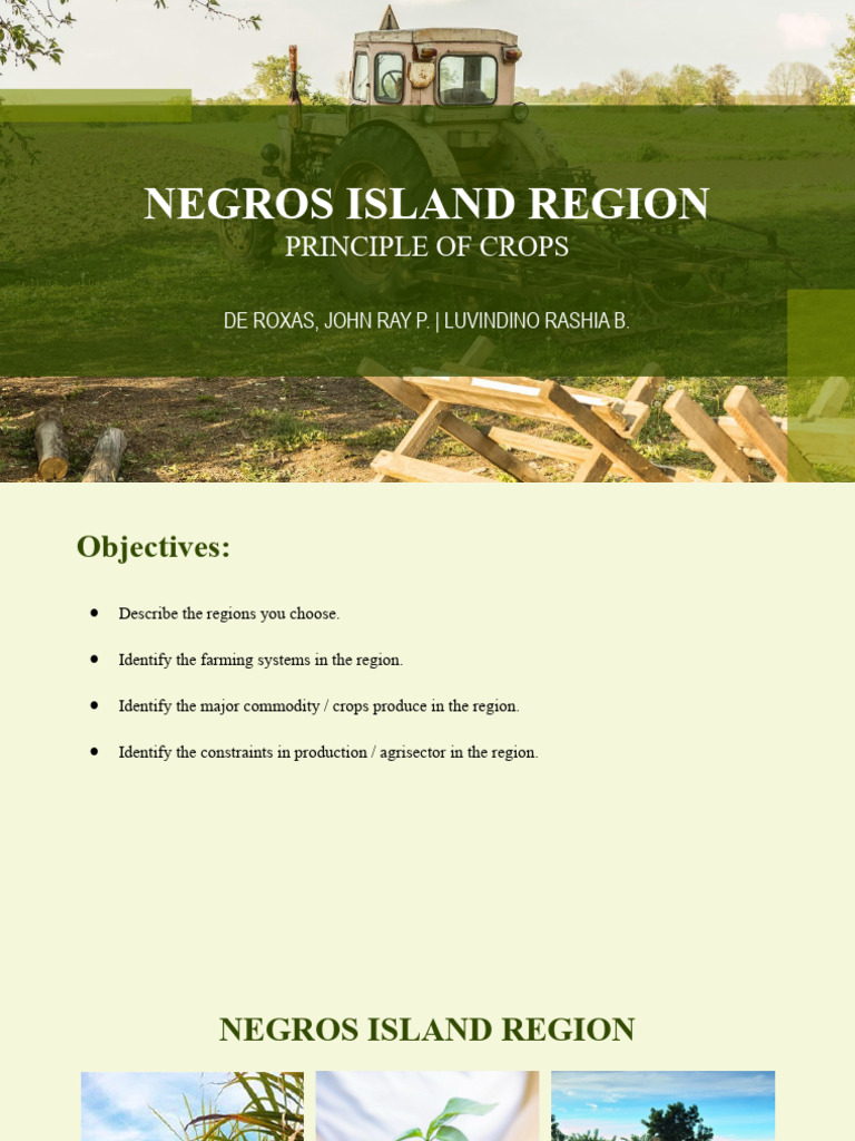 Nir - Negros Island Region | Download Free PDF | Agriculture | Crops