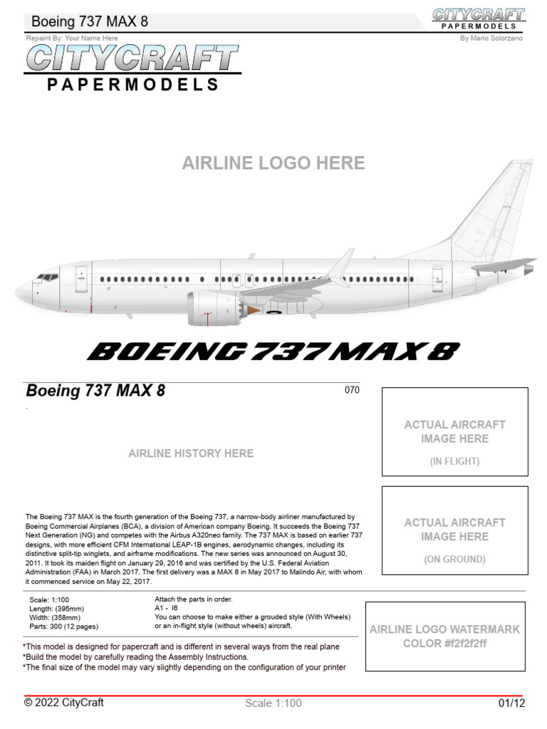 White - Boeing 737-8 - 100 - 1 | PDF | Airliner | Aircraft