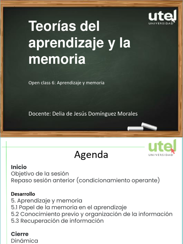 Open Class 633 Pdf Memoria Aprendizaje 