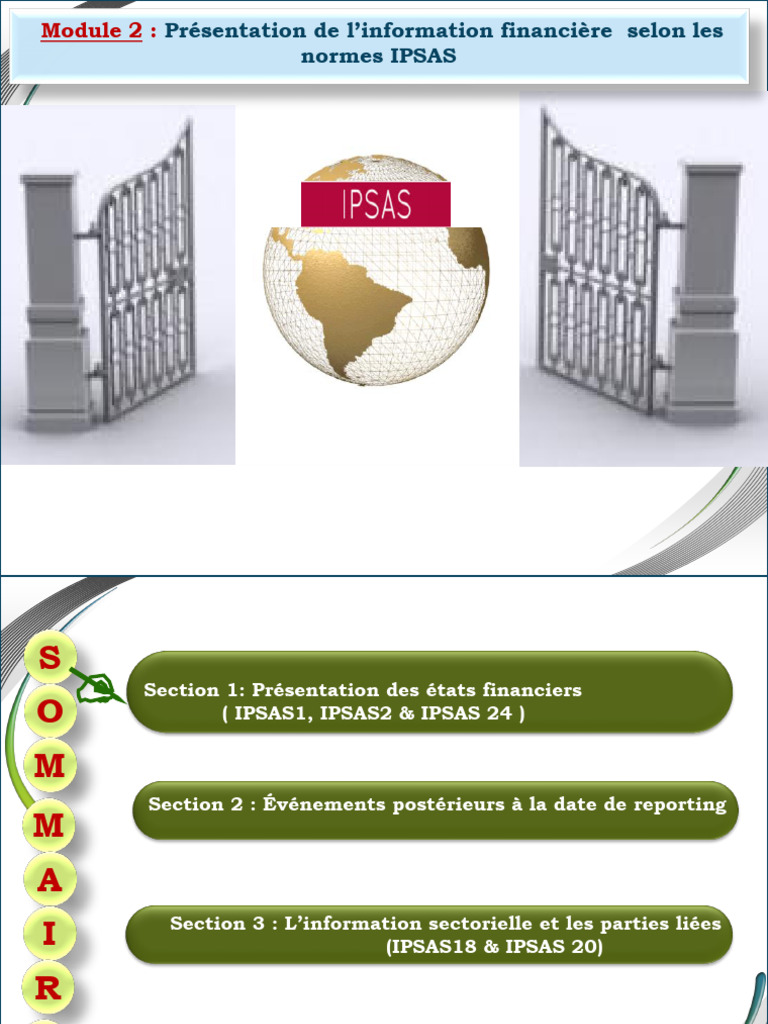 0.IPSAS Module 2 | PDF | Comptabilité | Normes internationales d ...