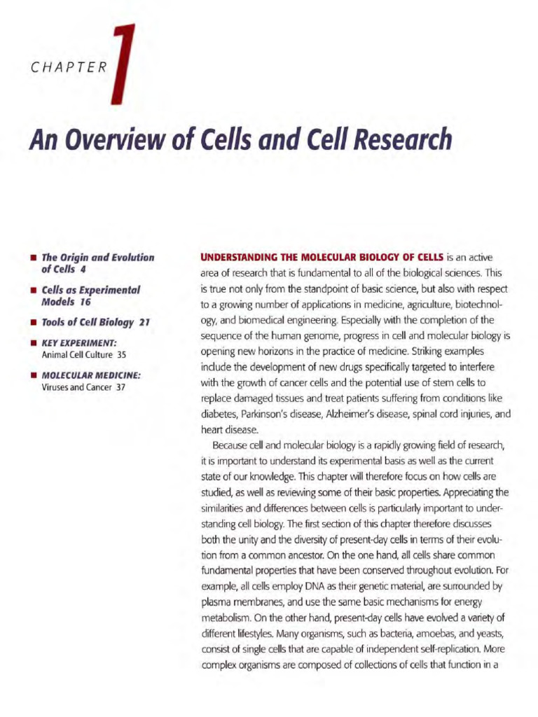 overview of cell | Download Free PDF | Cell (Biology) | Eukaryotes