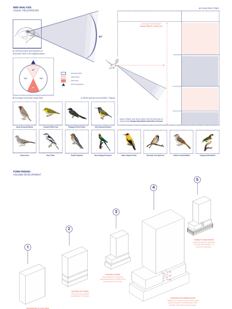 Updated Parti - BERNAS - ROBLES | PDF | Birds