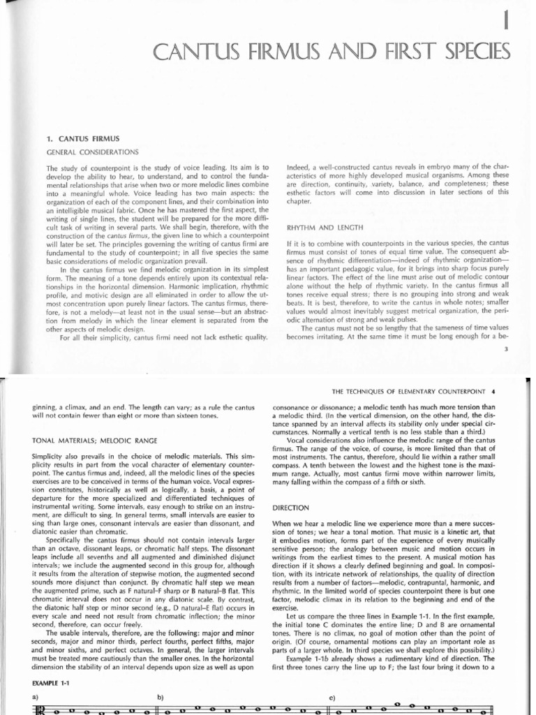 Estudo Do Cantus Firmus Salzer | PDF