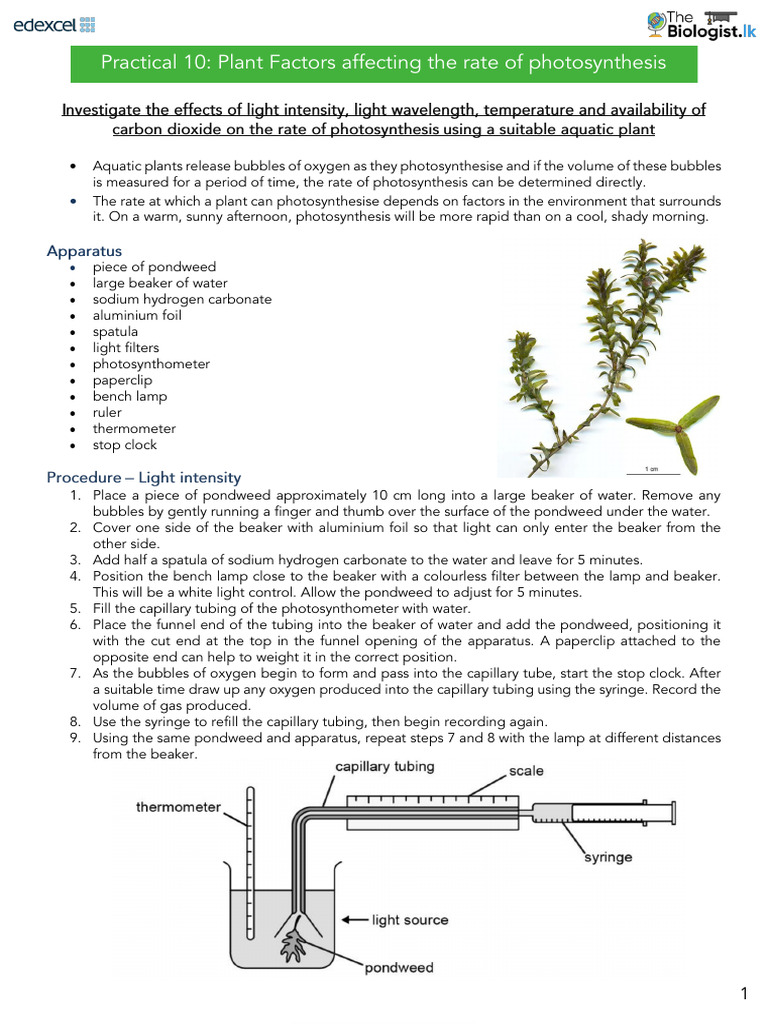CP10_Factors Affecting the Rate of Photosynthesis-1 | PDF ...