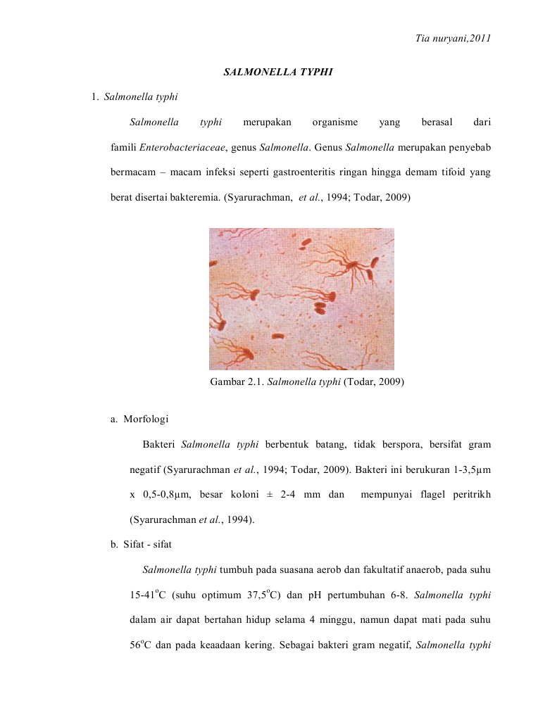 Salmonella Typhi | PDF
