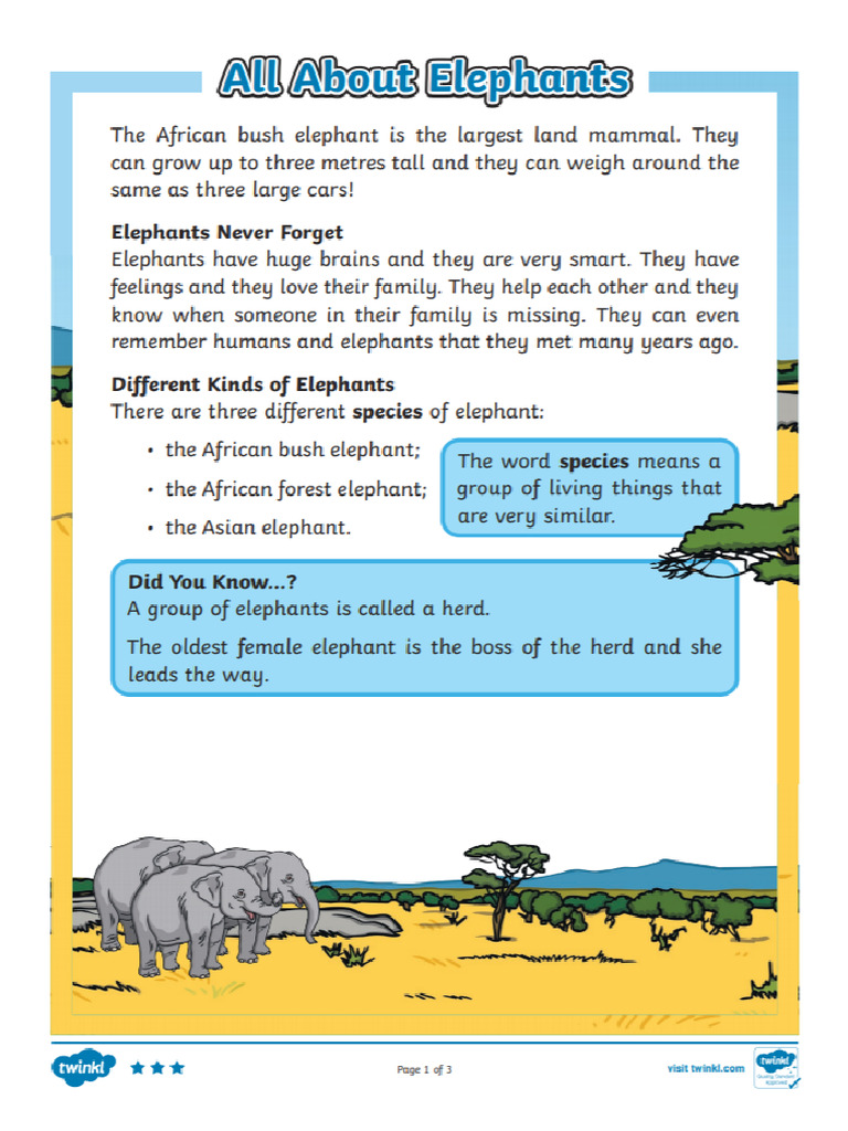 Elephants Reading Comprehension (1) | PDF