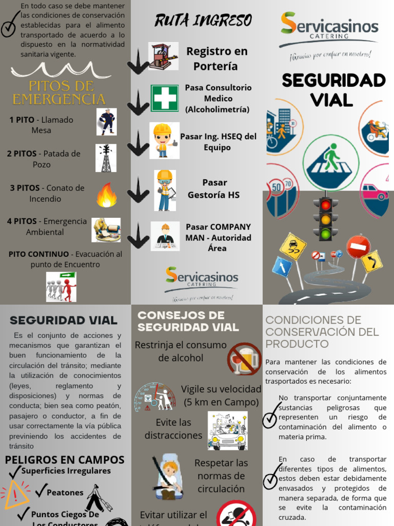 Folleto Seguridad Vial | PDF | Seguridad vial | Transporte