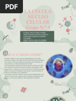 Diferencias entre Núcleo y Nucléolo | PDF