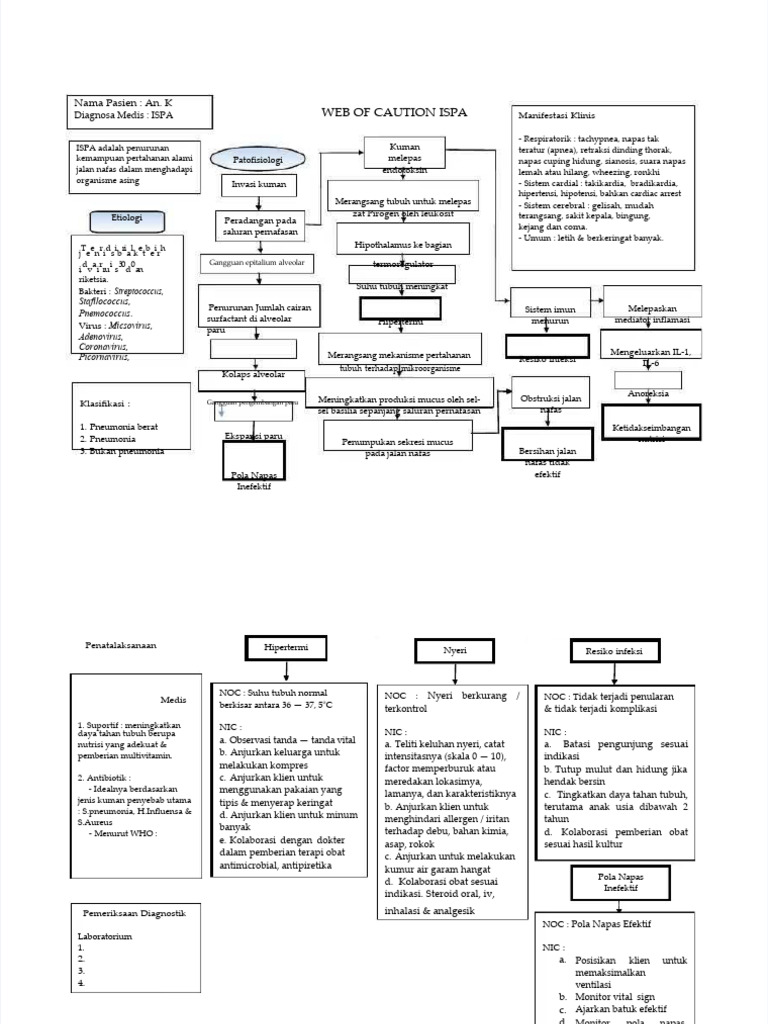 PDF Woc Ispa Compress | PDF