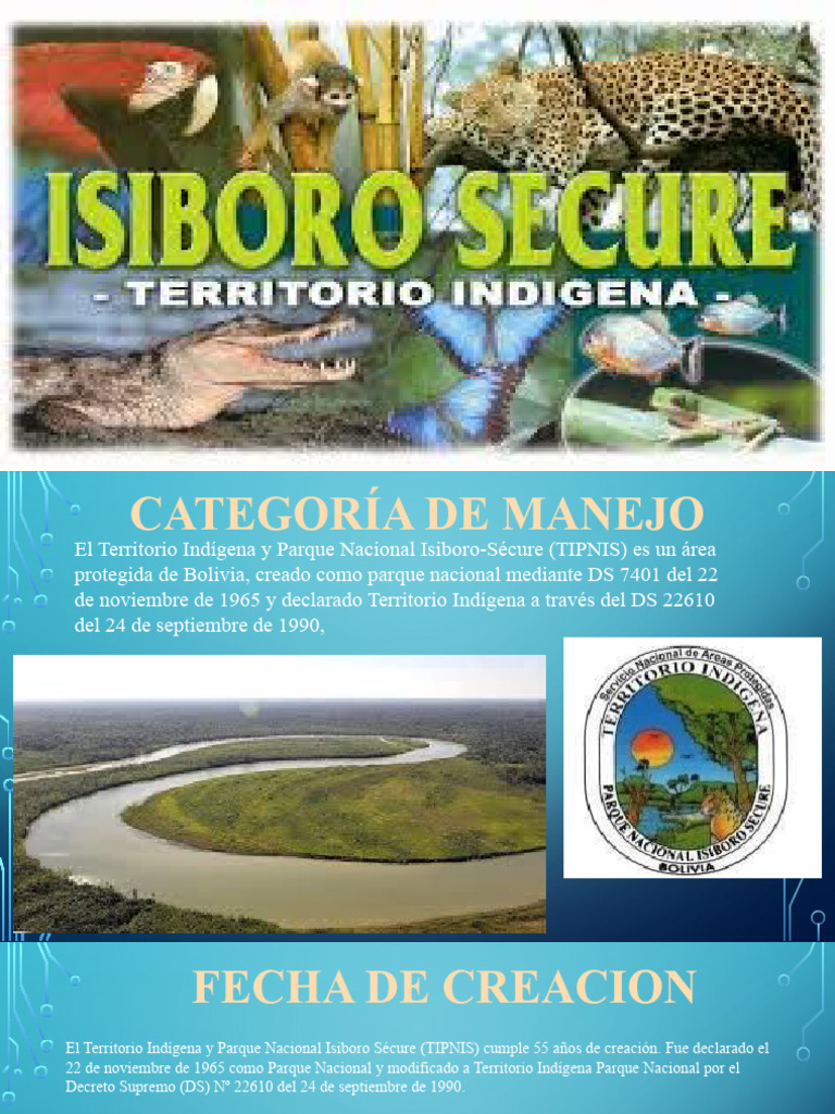 Parque Nacional Isiboro-Sécure: Guía Completa | PDF