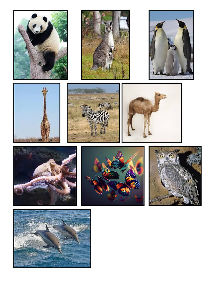 Animal Hunt Games | PDF