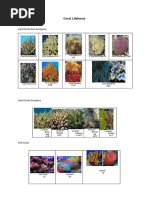 Epping Forest Case Study Booklet | PDF | Ecosystem | Systems Ecology