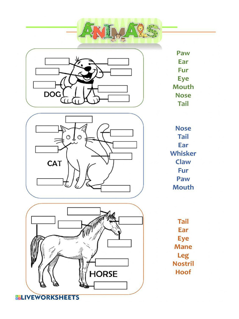 Quizz 1 | PDF Quizz 1 | PDF