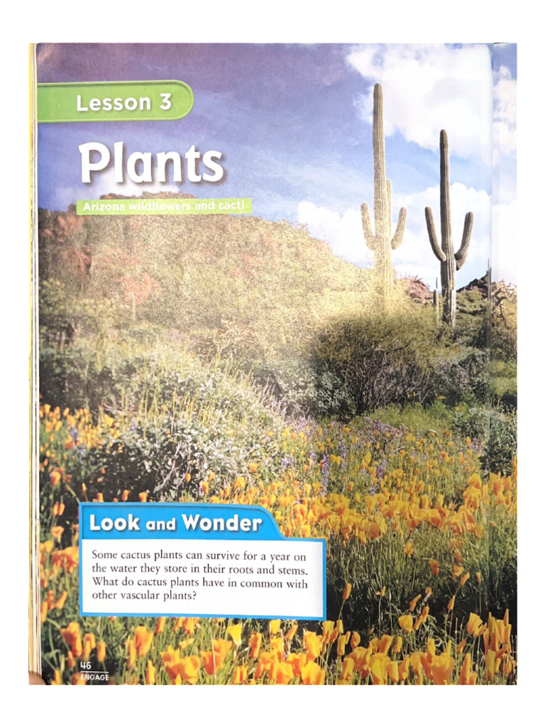 5th Grade Chapter 1 Lesson 3 Plants Textbook | PDF