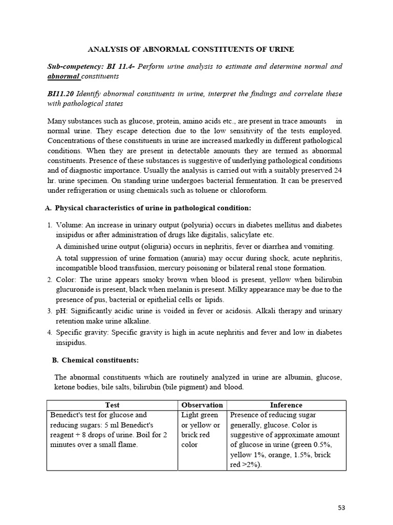 Abnormal Urine Test Instructions | PDF | Urine