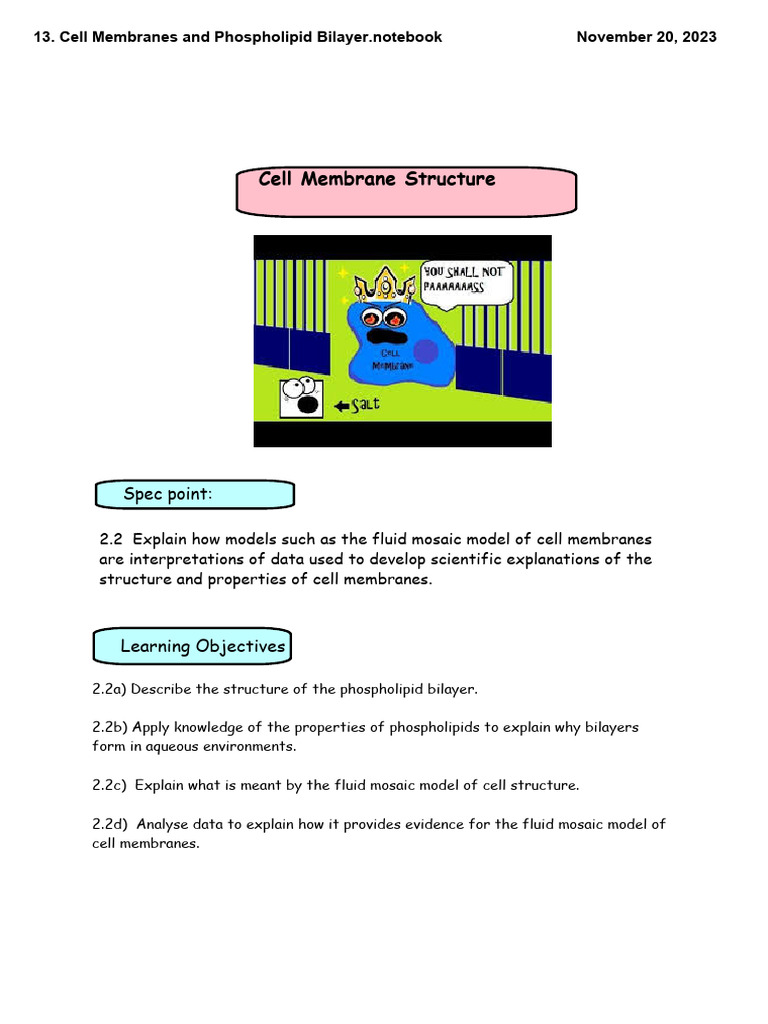 Cell Membranes and Phospholipid Bilayer-4 | PDF | Cell Membrane ...