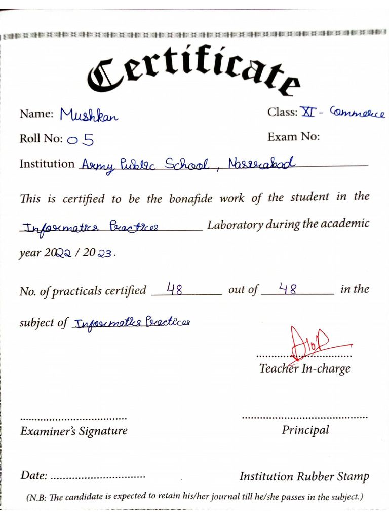 Practical File | PDF