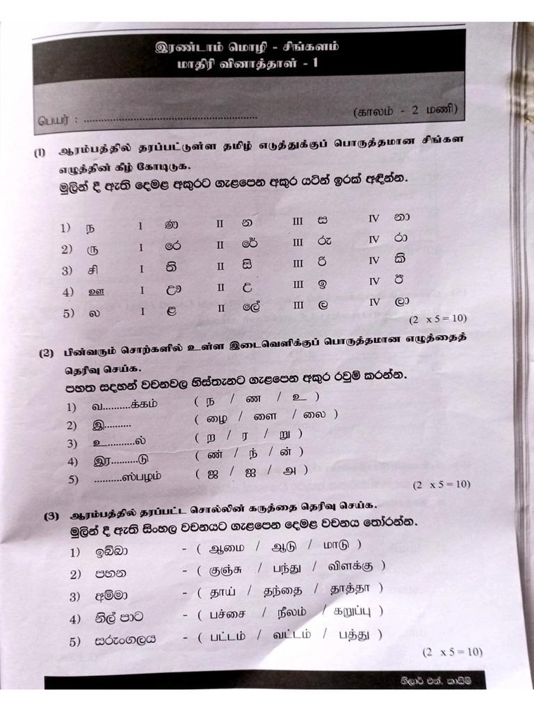 GR 6 Exam Papers Onevletterwd | PDF