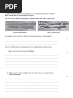 Magnification Worksheet | PDF | Units Of Measurement | Teaching Mathematics