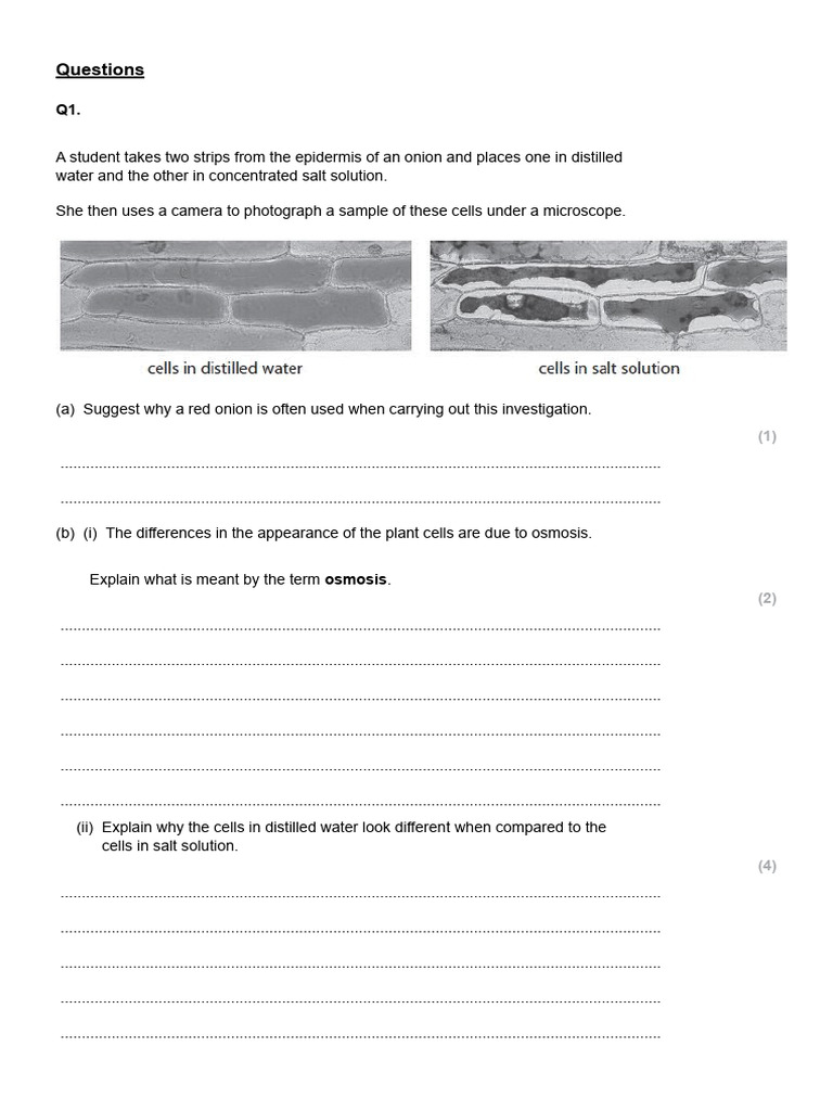 Osmosis Practical Application Questions | PDF | Osmosis | Concentration