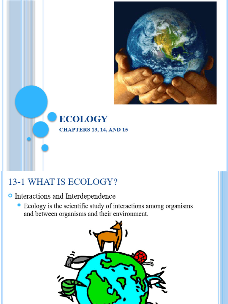 Ecology Powerpoint Pdf Food Web Ecology