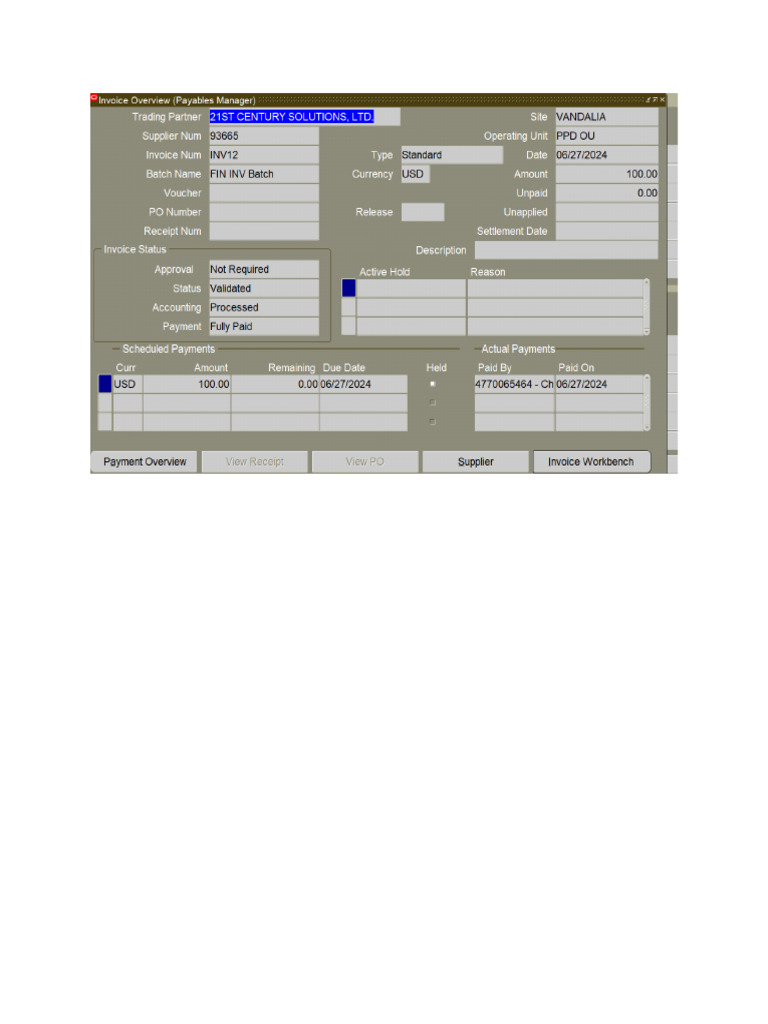 Payment Overview | PDF