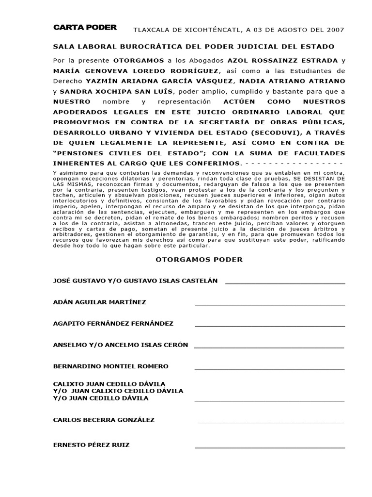 Carta Poder | PDF | Gobierno | Justicia