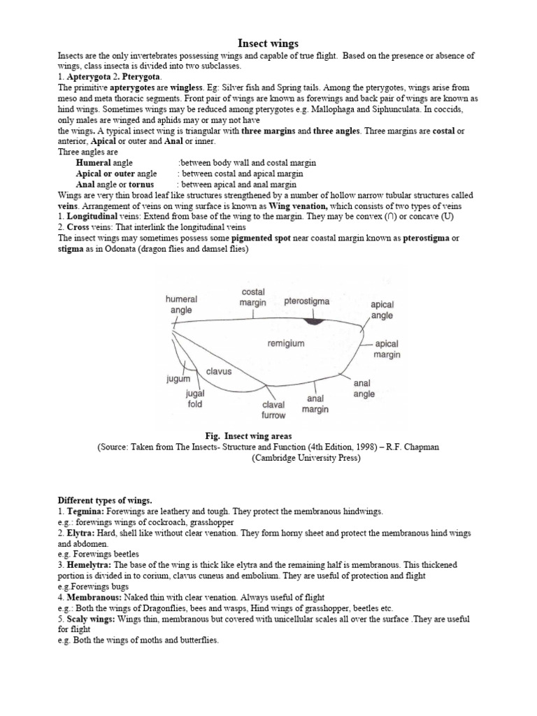 Types of Wing and Wing Coupling-1 | PDF | Insects | Arthropodology