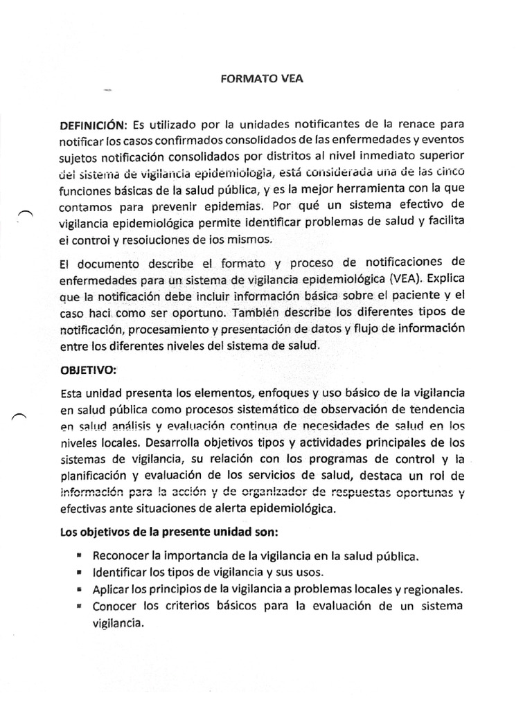 Formato VEA-Tec Nely | PDF