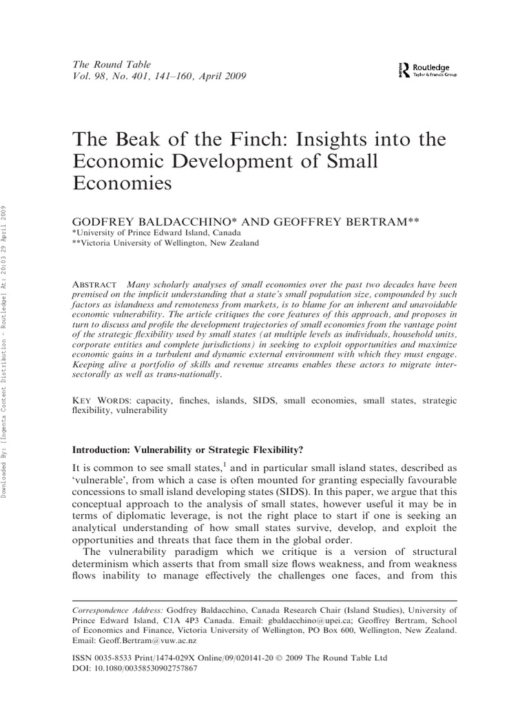 Strategic Flexibility in Small Economies | PDF | Economies