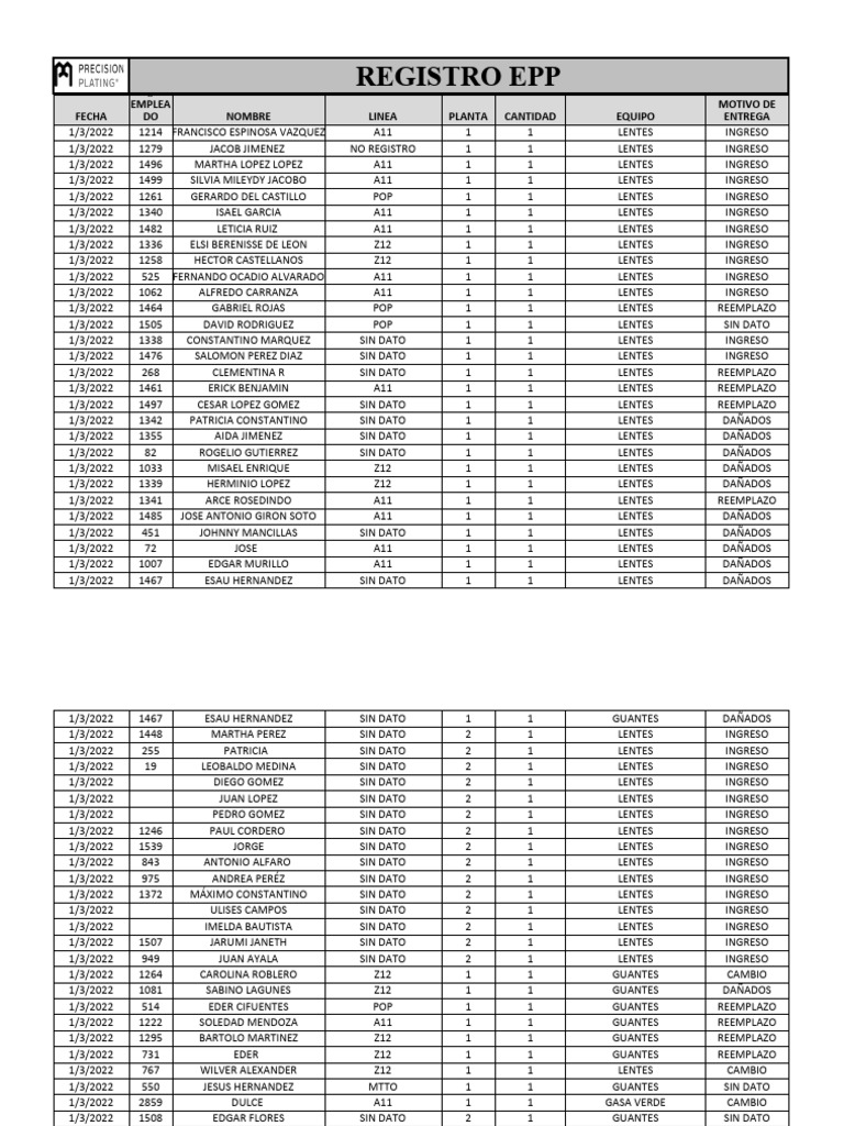 Registro de Epp Actualizado2024 | PDF