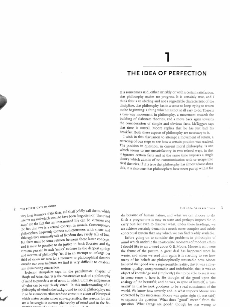 Murdoch The Idea of Perfection | PDF