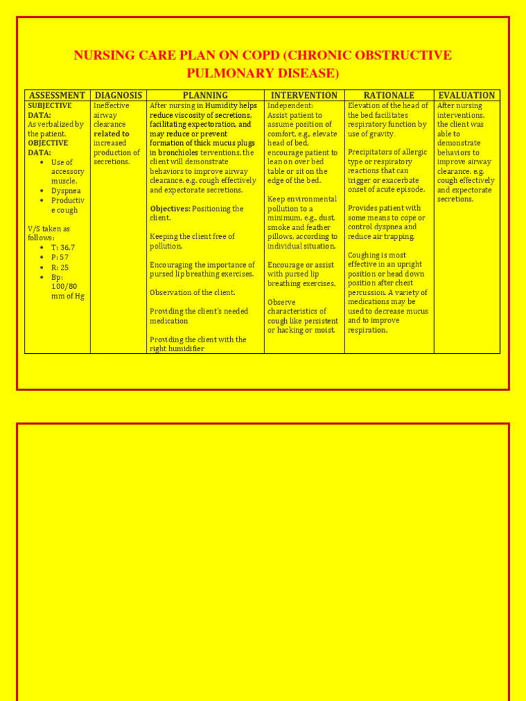 COPD Nursing Care Plan Overview | PDF | Chronic Obstructive Pulmonary ...